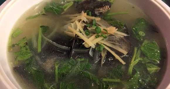 Bat soup in Palau is pretty intense | SoraNews24 —Japan News—