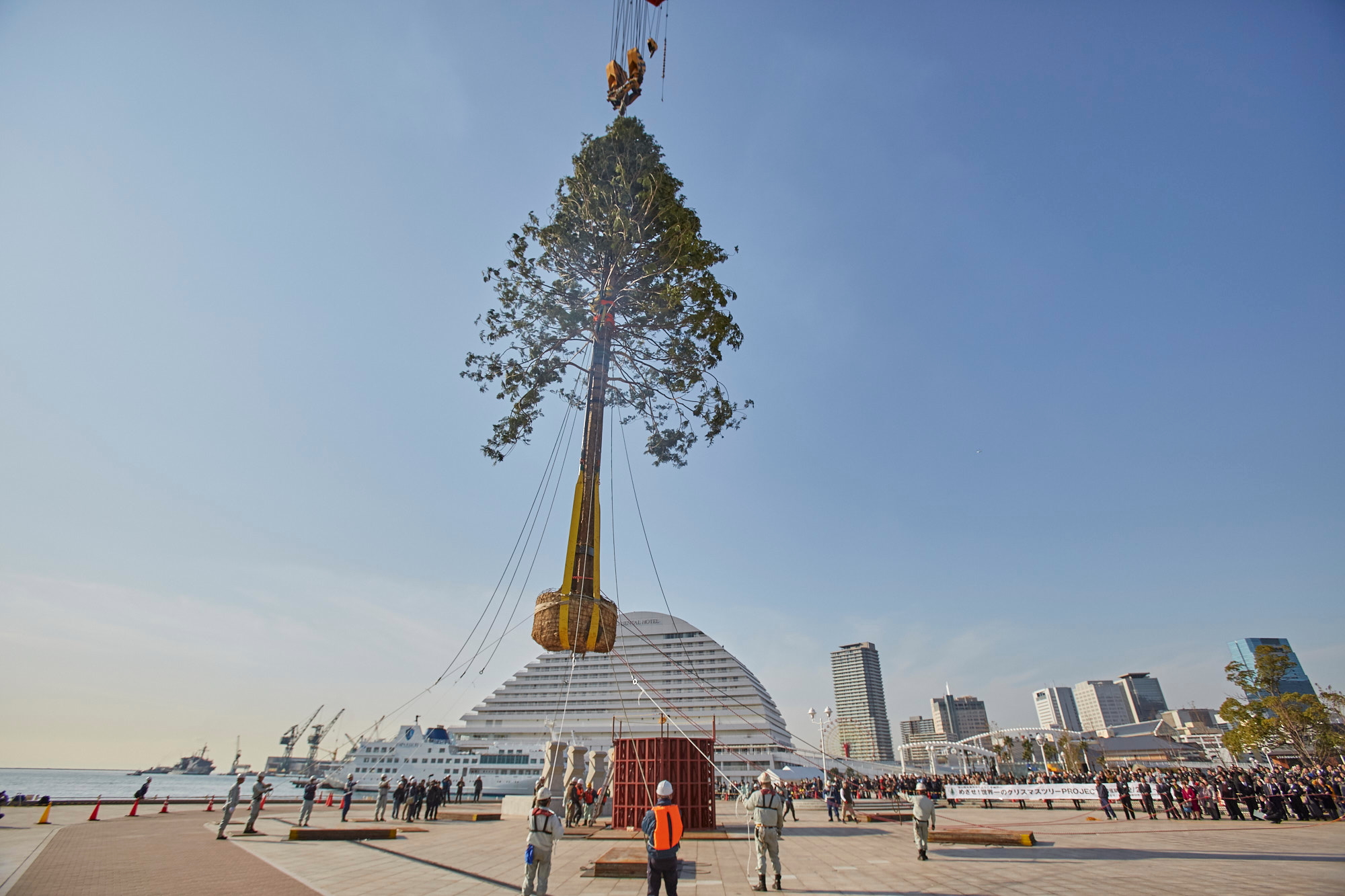 Kobe set to light up “World’s Number-One Christmas Tree” in all its ...