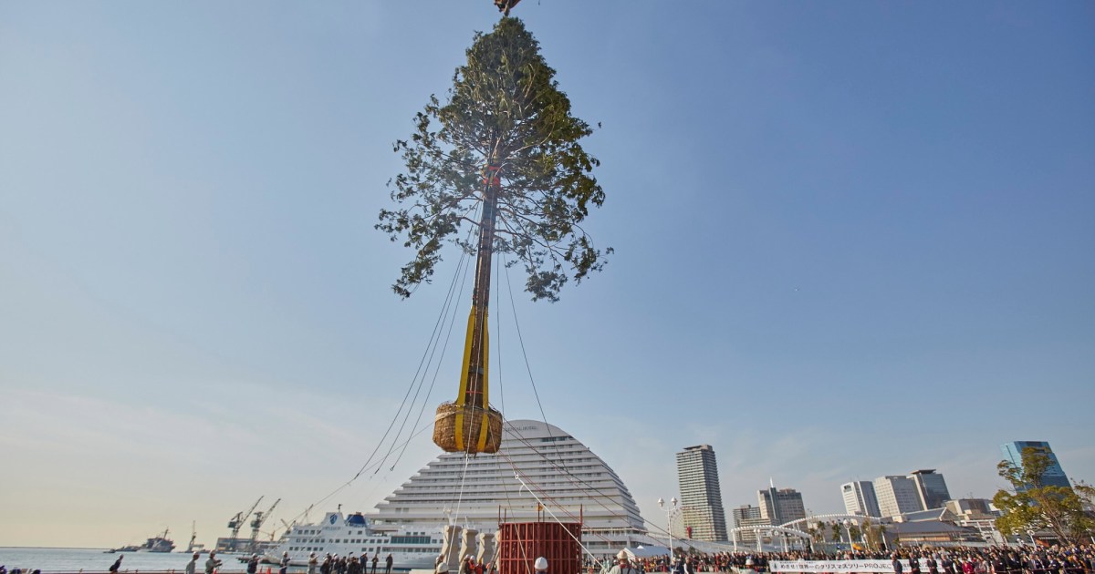 Kobe set to light up “World’s Number-One Christmas Tree” in all its ...