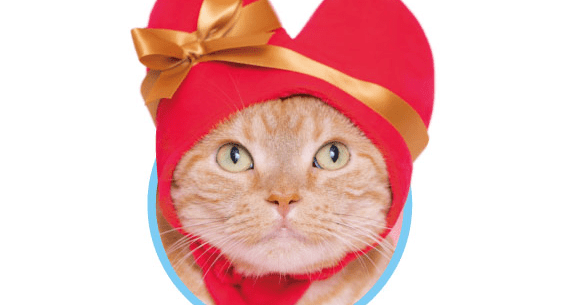 Japan now has heart hats for cute cats to wear this Valentine’s Day ...