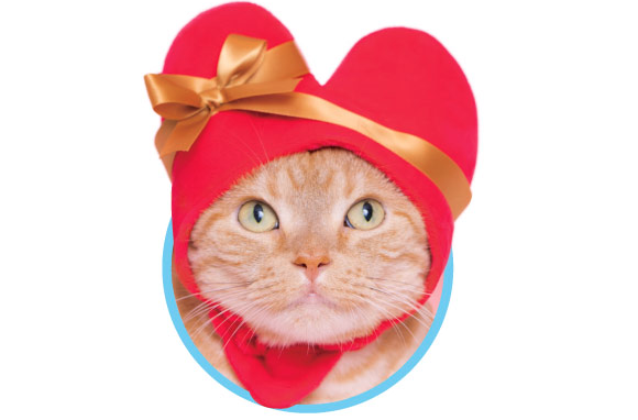 Japan now has heart hats for cute cats to wear this Valentine’s Day ...