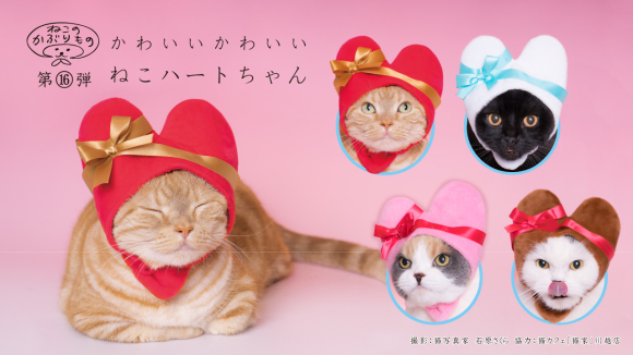 Japan now has heart hats for cute cats to wear this Valentine’s Day ...