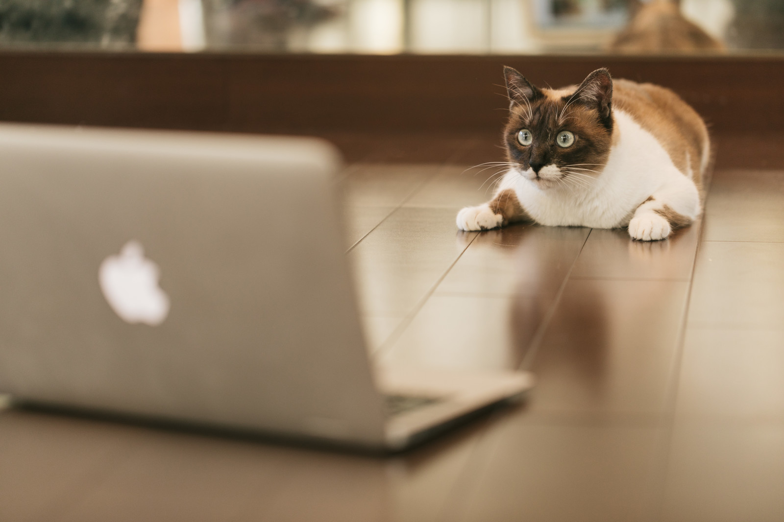 Japanese government says Internet slang is too hard to understand ...