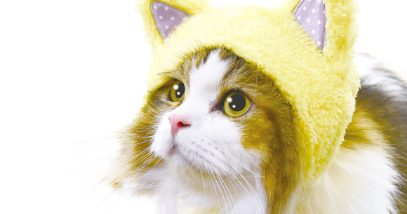Japanese company’s fashion hoods let you add cute cat ears…to your cat ...