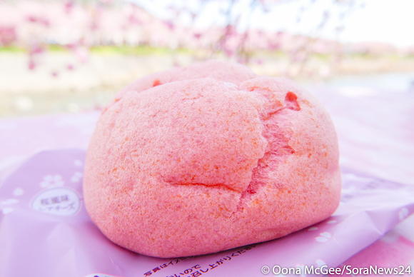 8 sakura sweets to enjoy under the cherry blossoms at your next hanami ...