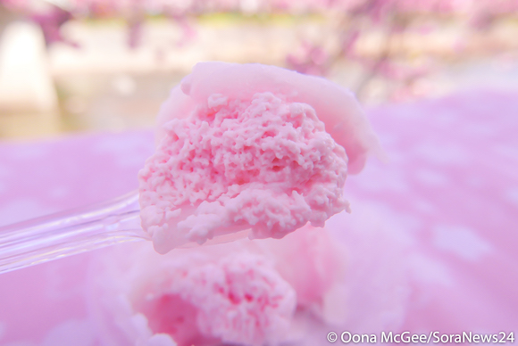 8 sakura sweets to enjoy under the cherry blossoms at your next hanami ...