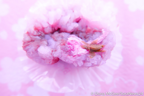8 sakura sweets to enjoy under the cherry blossoms at your next hanami ...