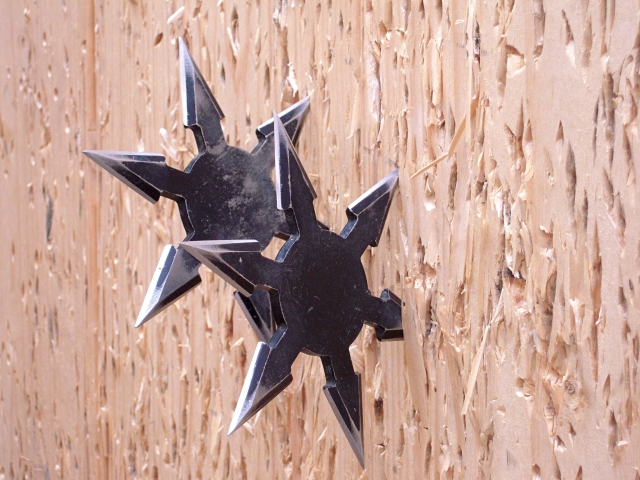 Ninja-star throwing contest now accepting applicants, grand champion ...