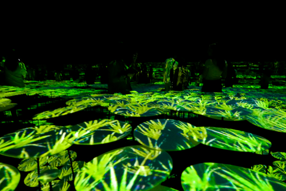 TeamLab Borderless: A visitor’s guide to Tokyo’s new jaw-dropping ...