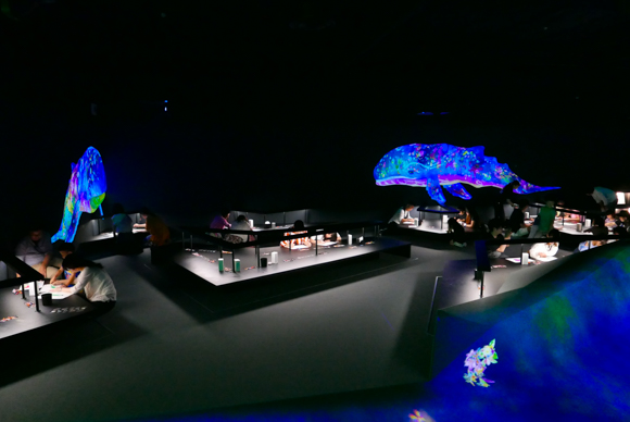 TeamLab Borderless: A visitor’s guide to Tokyo’s new jaw-dropping ...