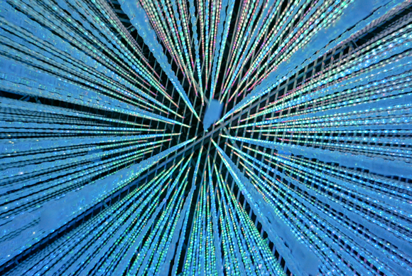 TeamLab Borderless: A visitor’s guide to Tokyo’s new jaw-dropping ...