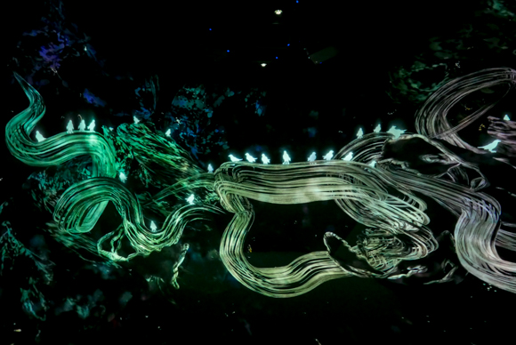 TeamLab Borderless: A visitor’s guide to Tokyo’s new jaw-dropping ...