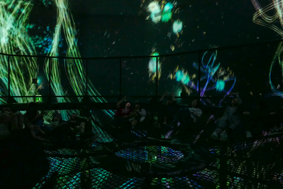 TeamLab Borderless: A visitor’s guide to Tokyo’s new jaw-dropping ...