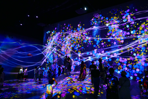 TeamLab Borderless: A visitor’s guide to Tokyo’s new jaw-dropping ...