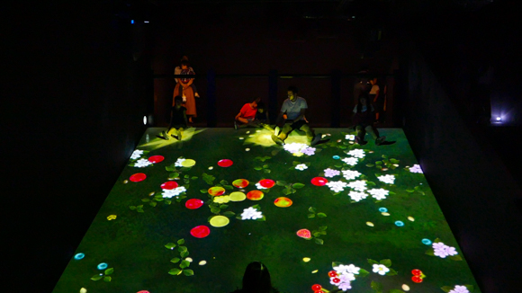 TeamLab Borderless: A visitor’s guide to Tokyo’s new jaw-dropping ...
