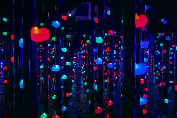 TeamLab Borderless: A visitor’s guide to Tokyo’s new jaw-dropping ...