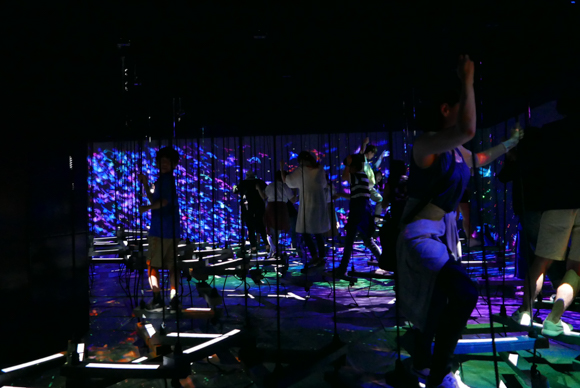 TeamLab Borderless: A visitor’s guide to Tokyo’s new jaw-dropping ...