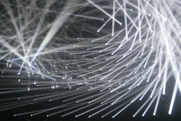 TeamLab Borderless: A visitor’s guide to Tokyo’s new jaw-dropping ...