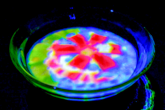 TeamLab Borderless: A visitor’s guide to Tokyo’s new jaw-dropping ...