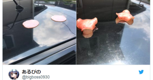 It’s so hot in Japan that people are cooking food in/on their cars ...