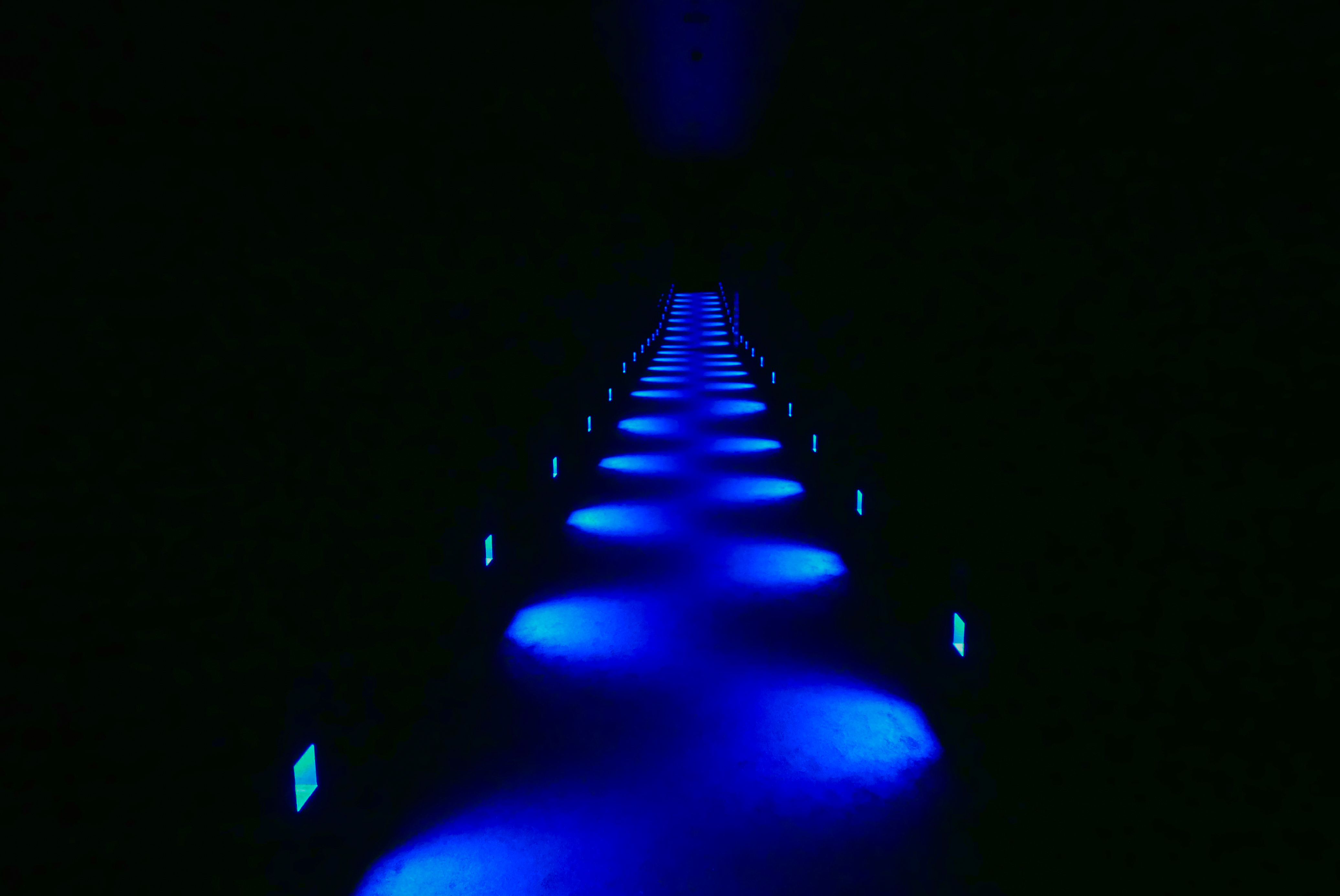 TeamLab Planets: Walk up a waterfall and catch koi fish at new digital ...