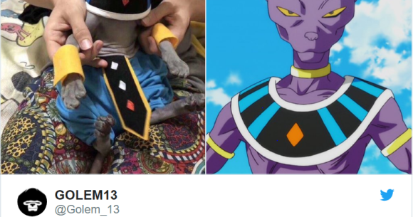 Dragon Ball’s Lord Beerus shows up at mortal’s house, lowly humans ...