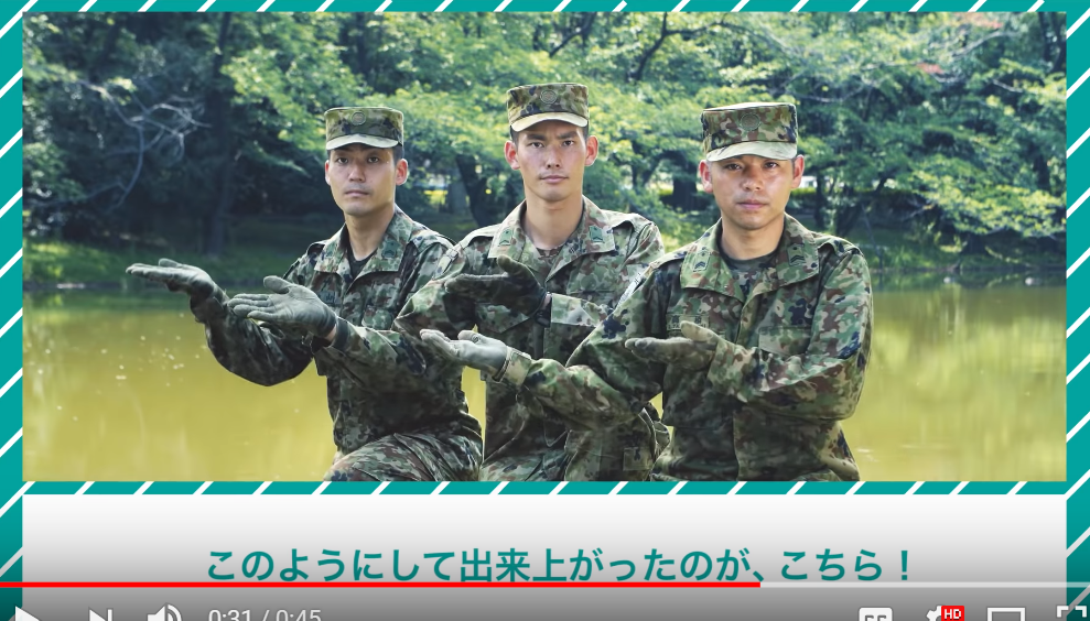 JSDF doesn’t just protect from foreign invasion, it tackles sharks and ...