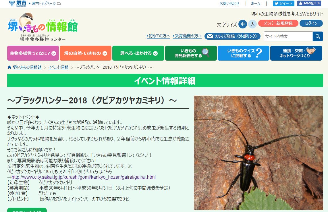 Bug hunt! Some areas offering rewards for alien beetles threatening ...