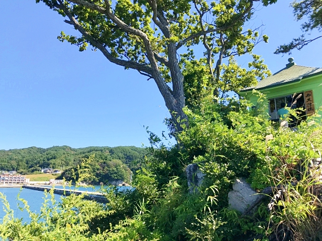 This tiny island you can walk to is a perfect snapshot of why Japan is ...