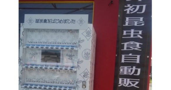 Vending machine in Kumamoto to offer delicious insect snacks, let you ...