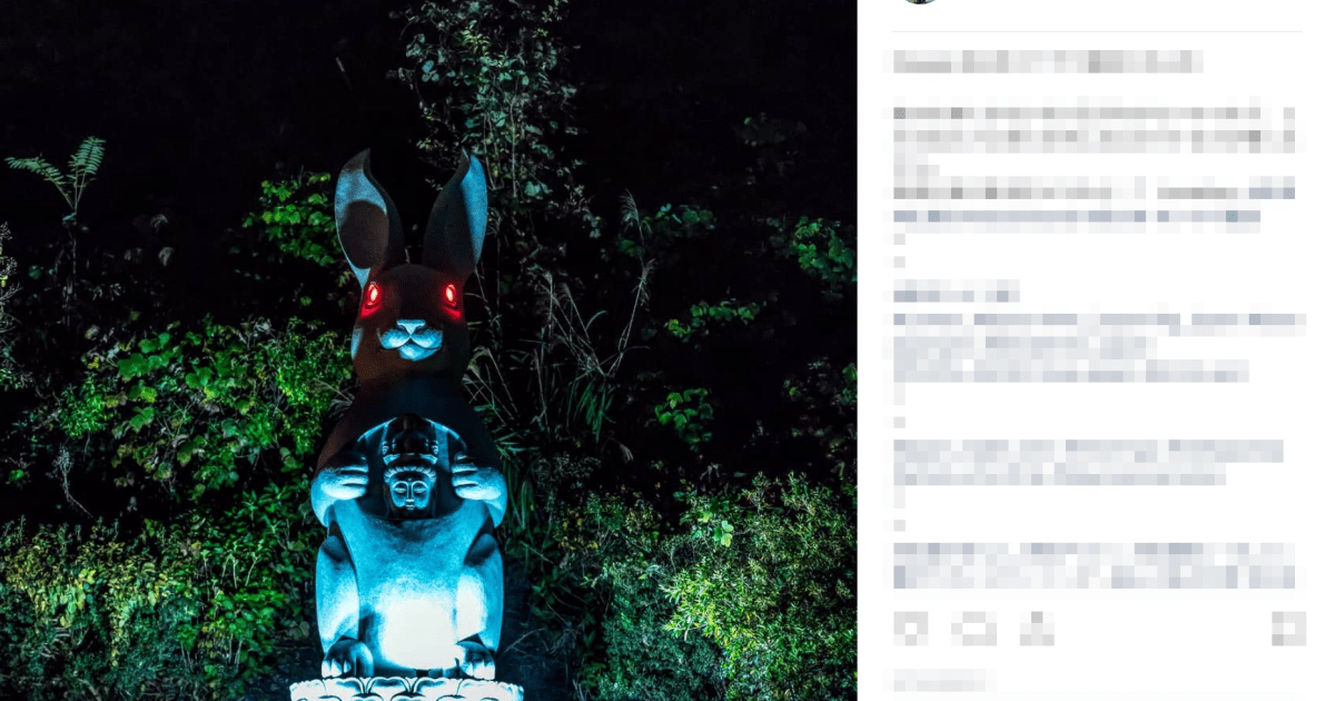 Rabbit at Japanese temple freaks people out with glowing eyes, Buddhist ...