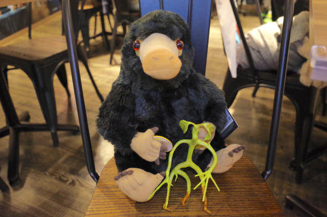 Wizarding World Cafe: First ever official Harry Potter and Fantastic ...