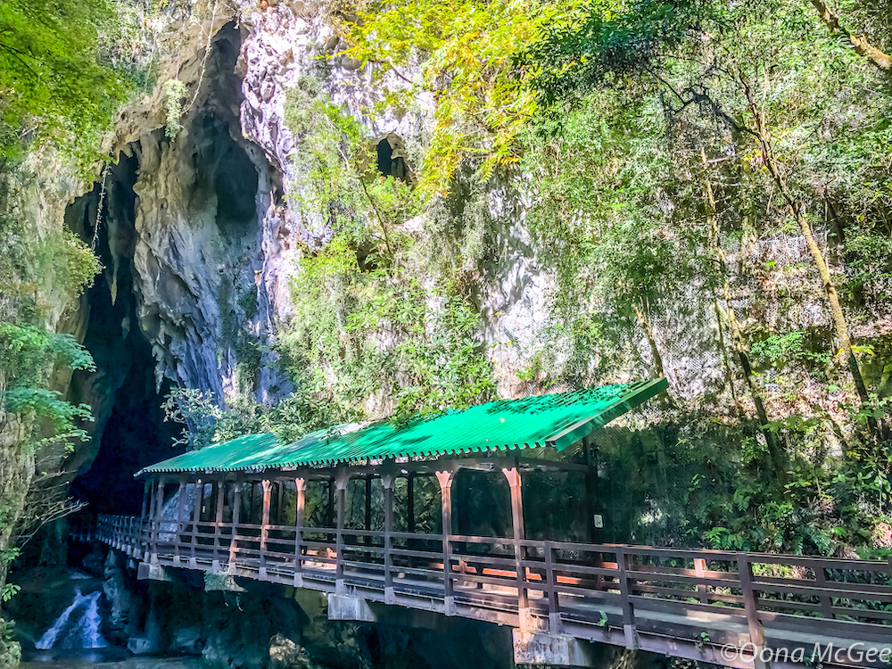 Japan travel: Best places to see, eat and stay at Nagato and Mine in ...