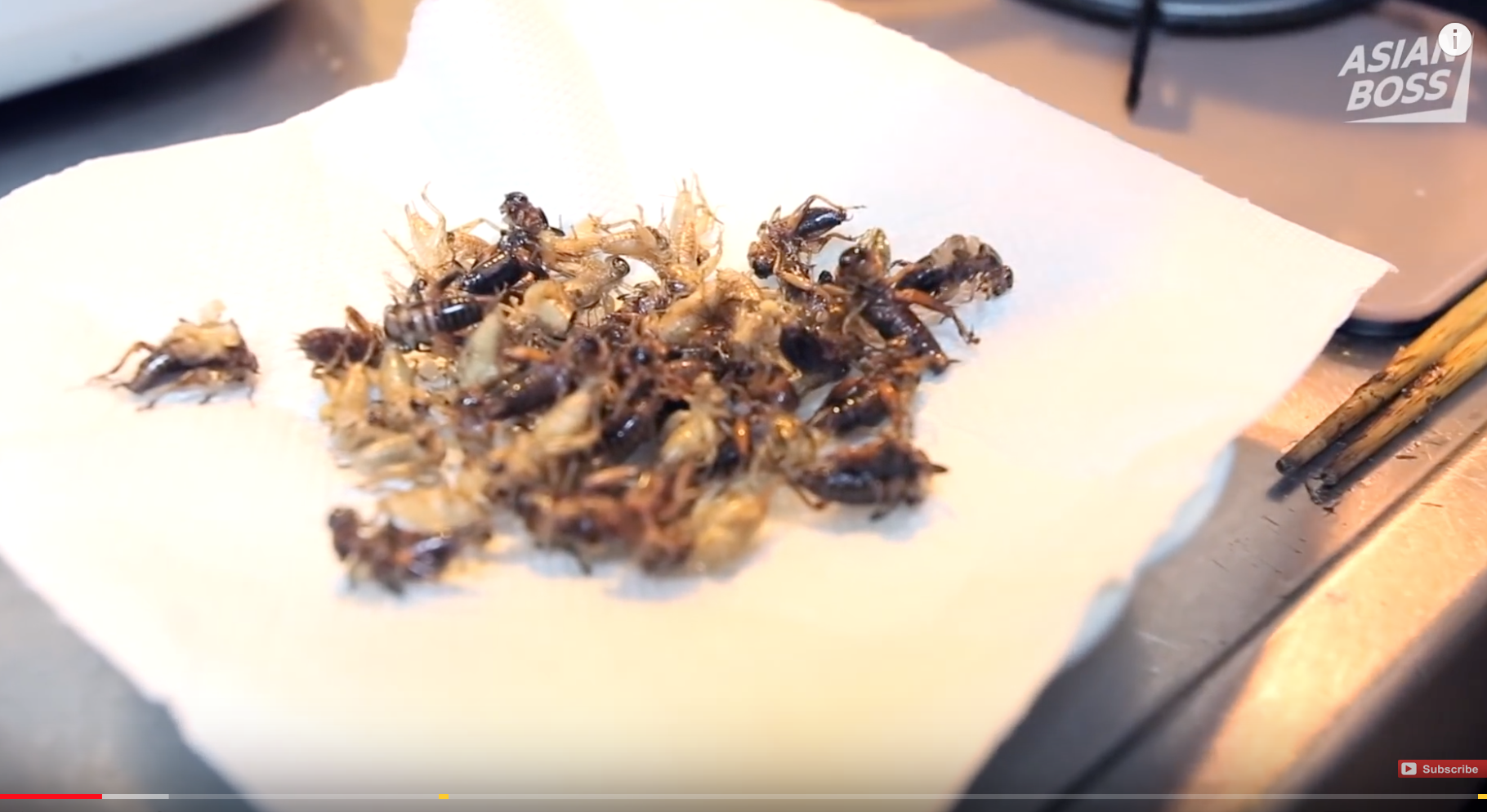 This Japanese man dated a cockroach, dreamed of having sex with it ...