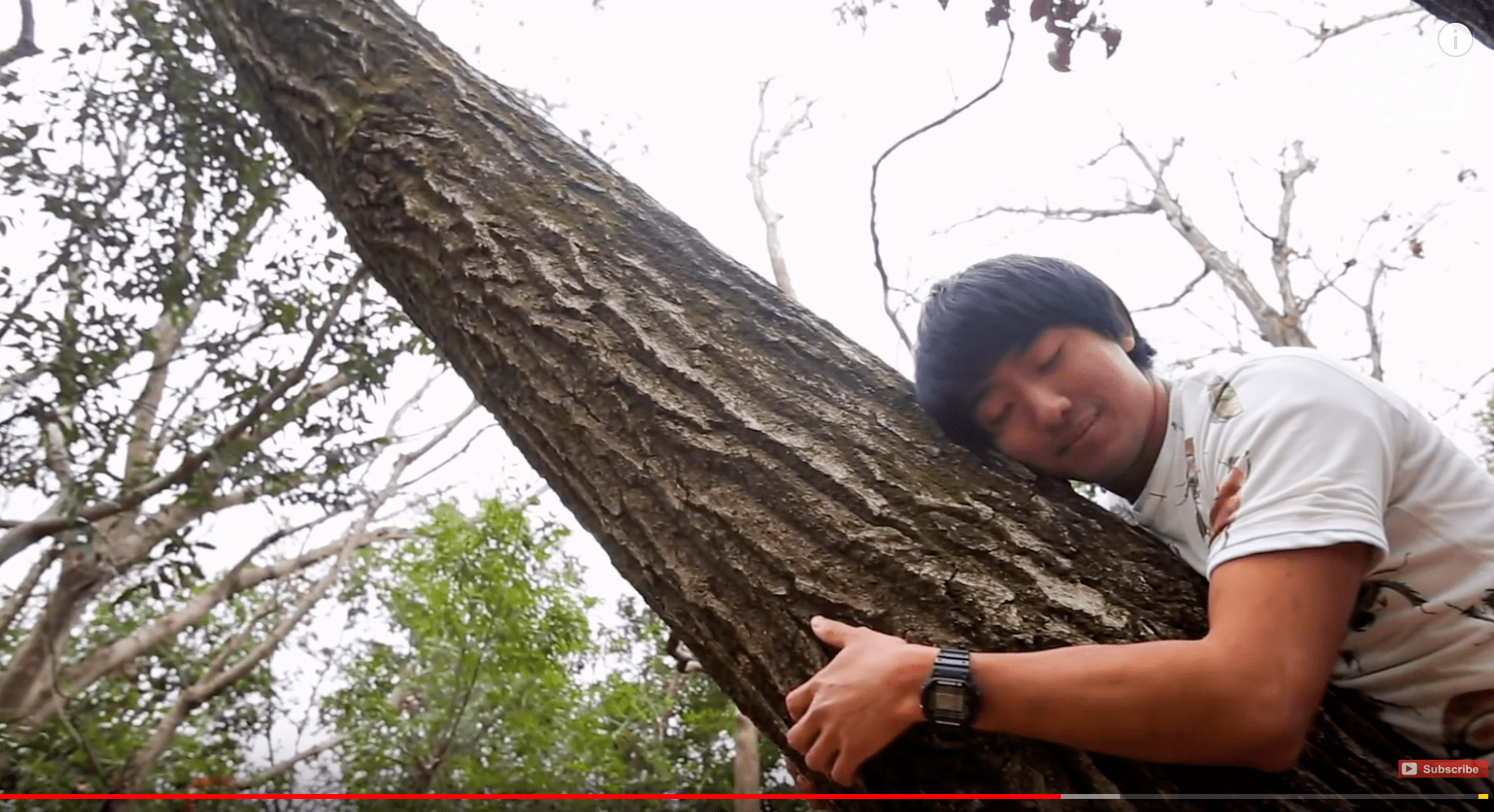 This Japanese man dated a cockroach, dreamed of having sex with it ...