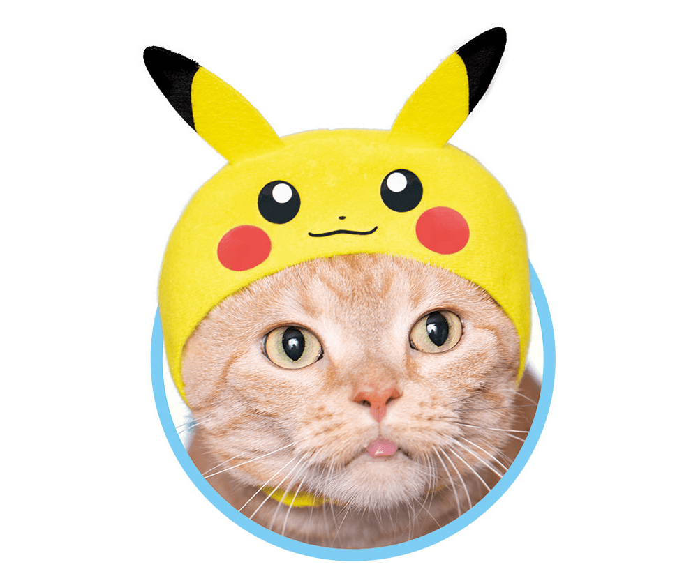 Pokémon cat cosplay hoods are now on sale, and adorable【Photos ...