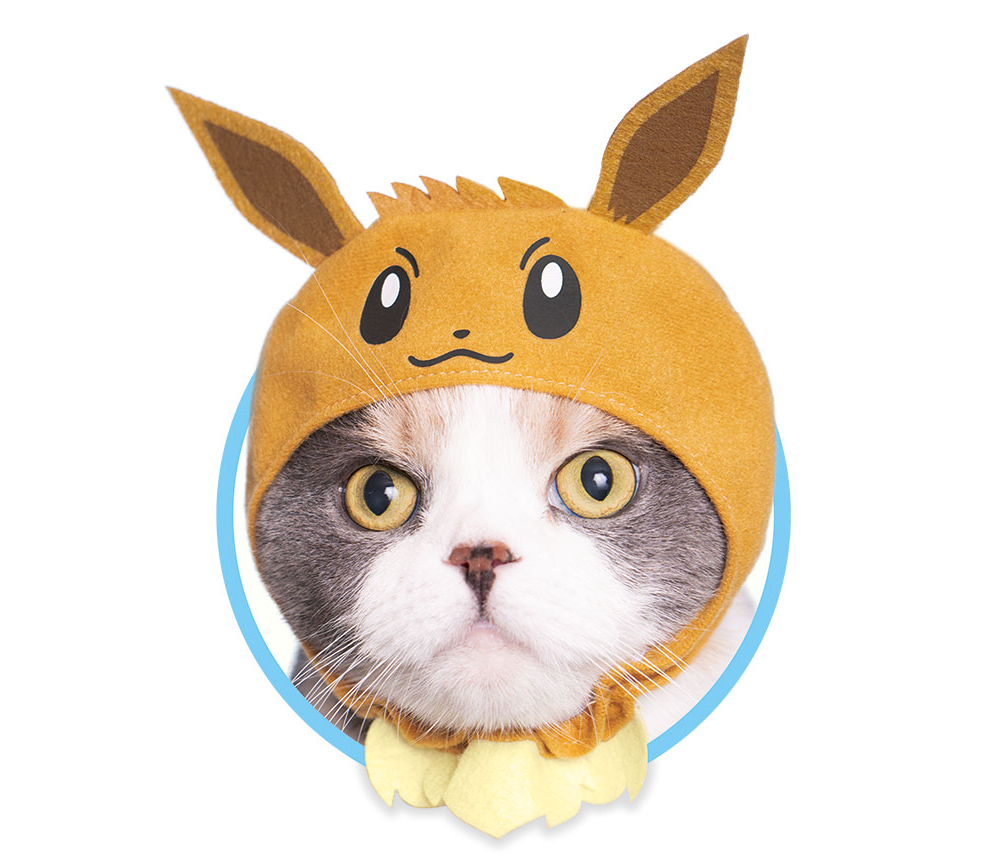 Pokémon cat cosplay hoods are now on sale, and adorable【Photos ...
