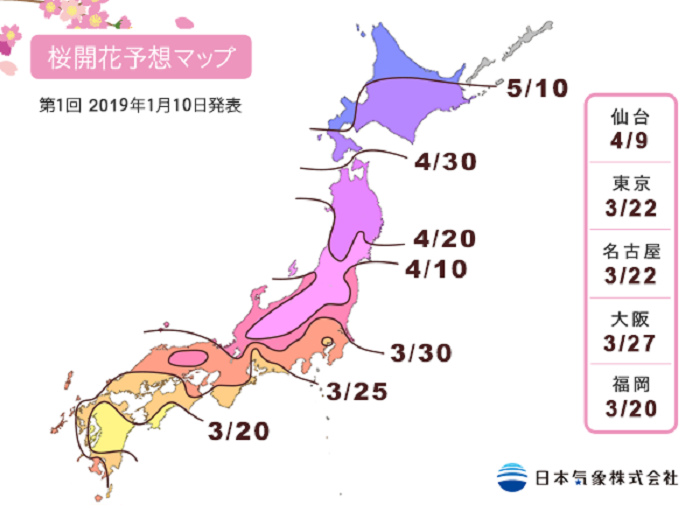 Japan cherry blossom forecast 2019! Sakura coming earlier than usual to ...