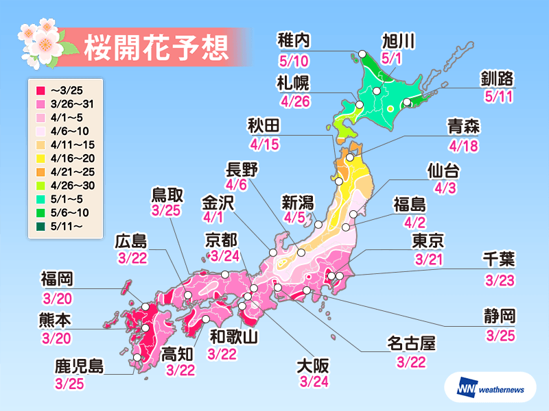 Sakura report 2019: First cherry blossoms begin to bloom in Tokyo ...