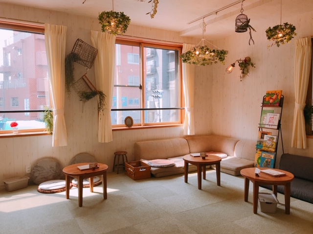 Japan’s first-ever micro pig cafe opens in Tokyo 【Pics & Video ...