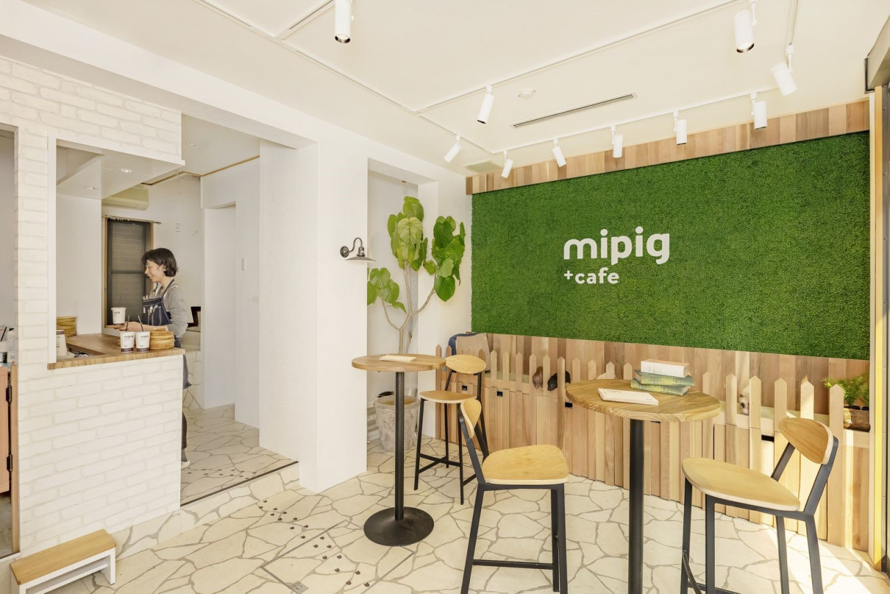 Japan’s first-ever micro pig cafe opens in Tokyo 【Pics & Video ...