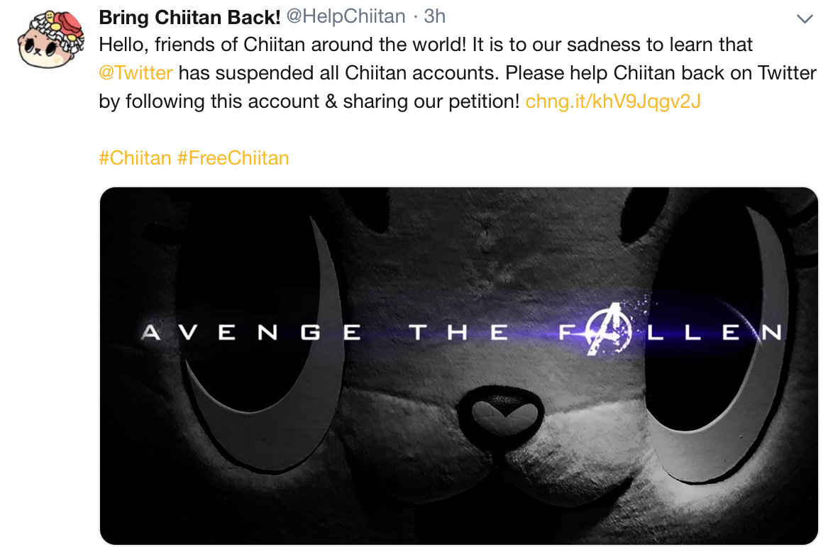 Chiitan the otter rejected as mascot character for Japan’s Susaki City ...