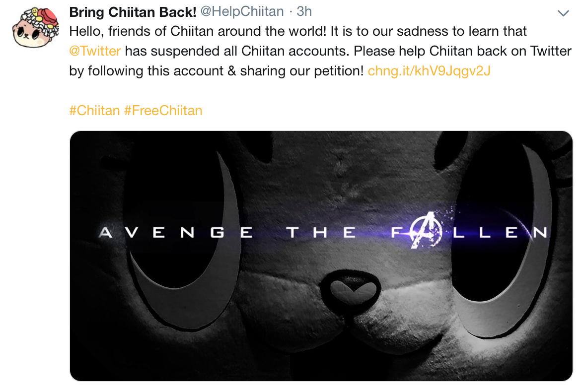 Chiitan the otter rejected as mascot character for Japan’s Susaki City ...