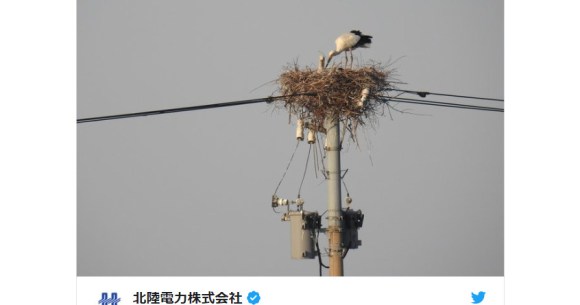 Japanese netizens are abuzz about the way a power company dealt with an ...