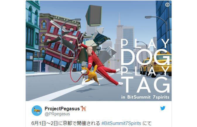 Cute Shiba Inu goes in for a shampoo, struts out with half her hair and ...