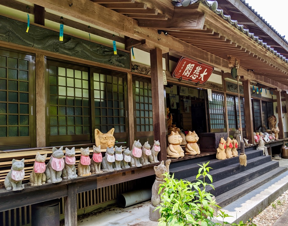 A visit to Japan’s cat beautiful, quirky, and touching cat temple ...