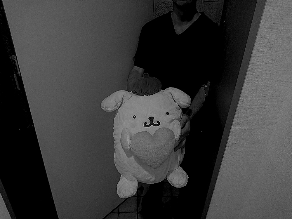 Living next door to a stalker: Our Japanese reporter recounts the time ...