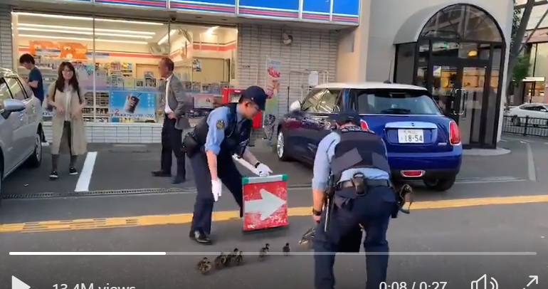 Japanese riot cops provide police escort for mother and 10 children…who ...