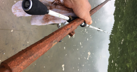 How did a centuries-old samurai musket end up in the bottom of this ...