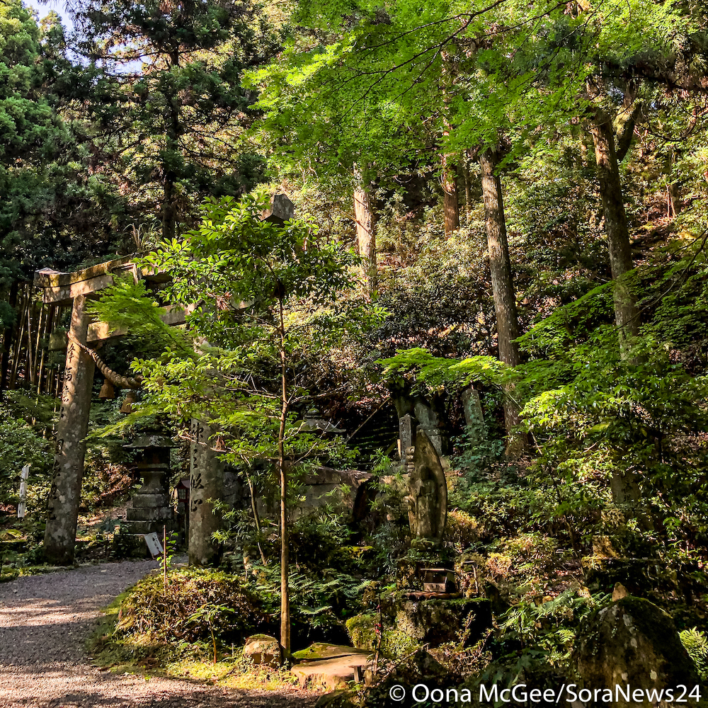 Japan Travel: 17 Things to do in Oita, Japan’s onsen prefecture ...